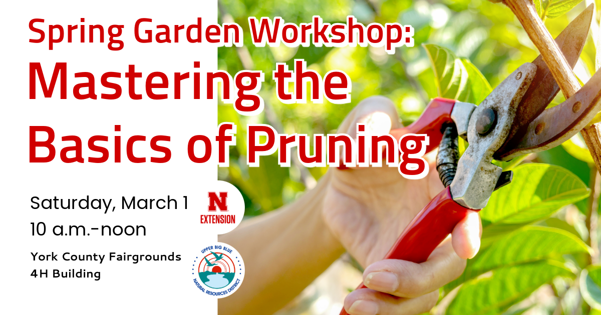 GROW Spring Garden Workshop: Mastering the Basics of Pruning | Upper Big Blue Natural Resources ...